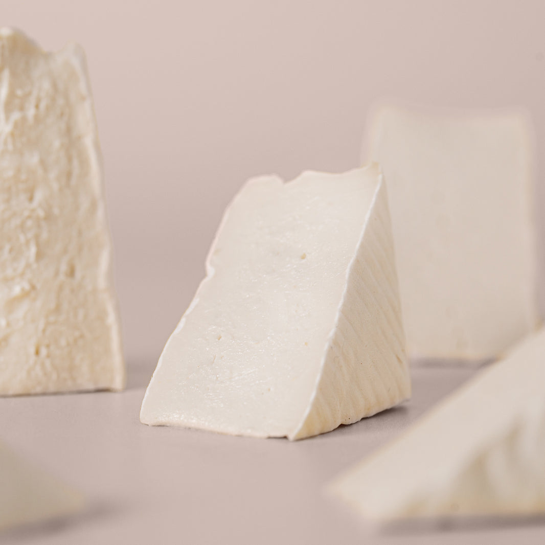 Redefining Cheese for Vegans & Non-Vegans Alike – Honestly Tasty
